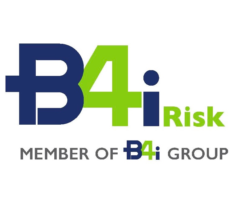 B4i Empowerment Group – Empowering Organisations to Empower People…